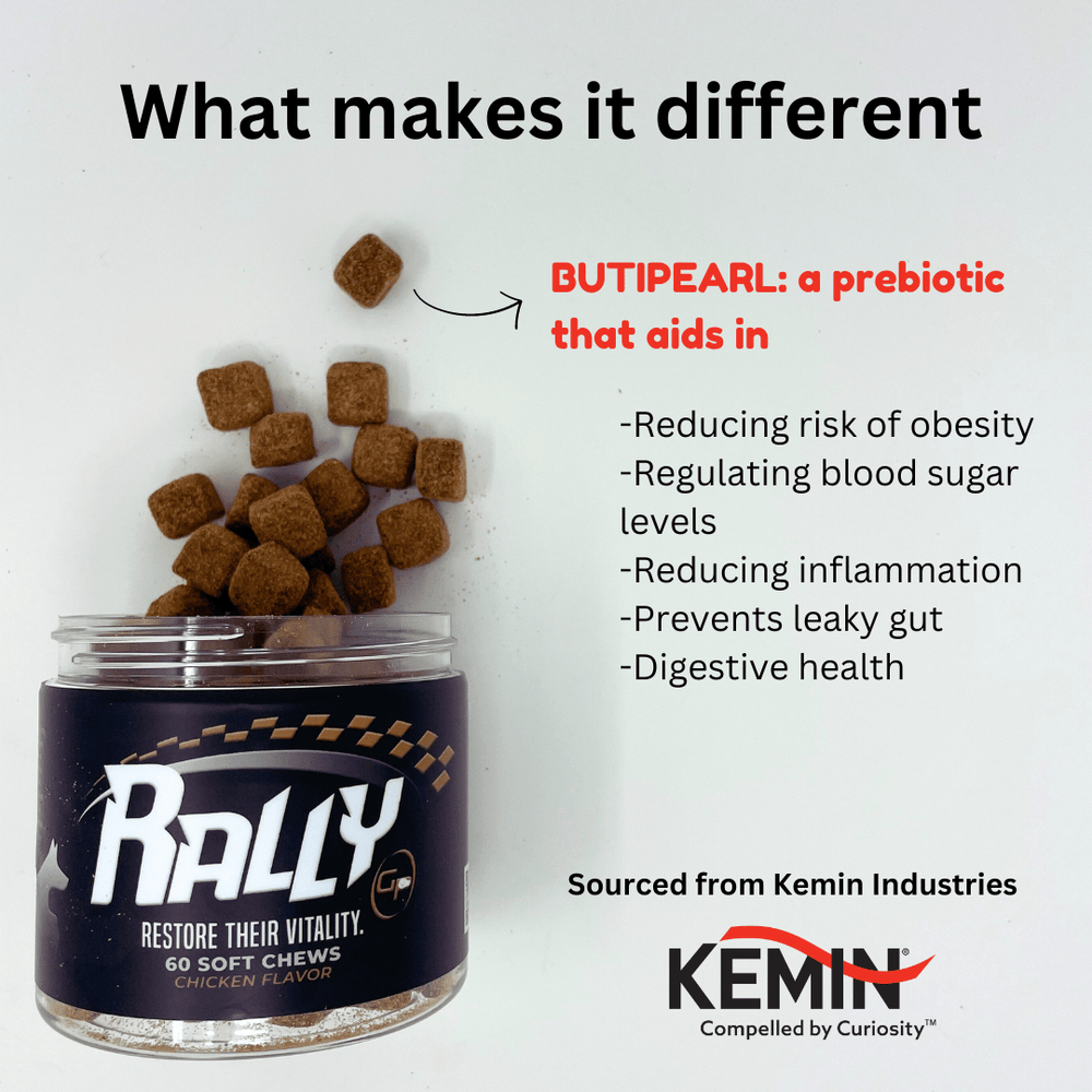 Premium Pet Nutrition & Treats Delivered to Your Door | GrrubPet